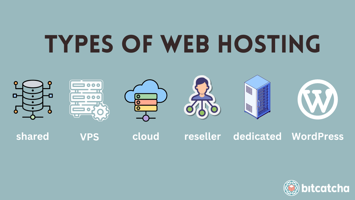 Web Hosting: Definition, Type and Cost Web Hosting: Definition, Type and Cost