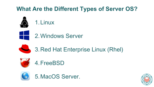 What is Server Operating System?